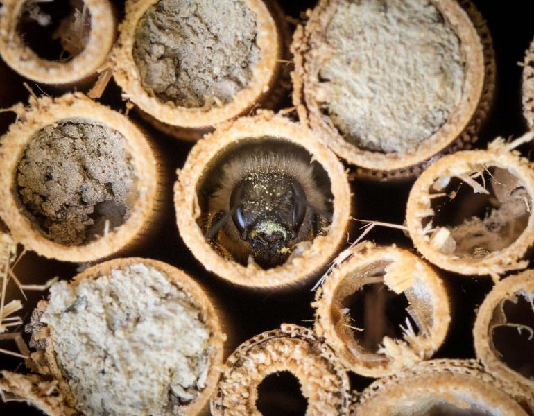 Garten plastikfrei überwintern | GLOBAL 2000