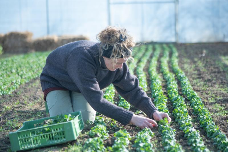 10 Schritte für eine Landwirtschaft der Zukunft | GLOBAL 2000