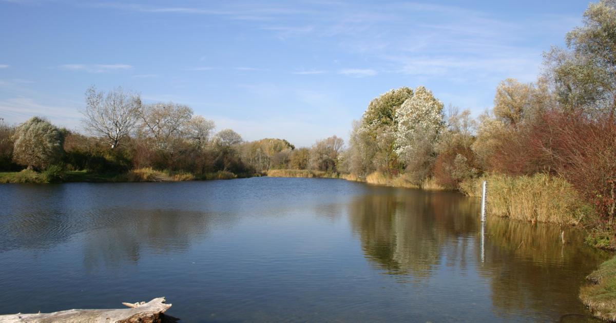 Lobau: Keine Autobahn im Nationalpark! | GLOBAL 2000