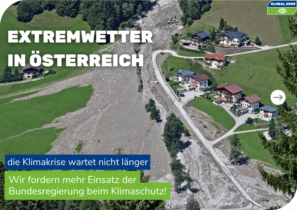 Sommer der Extreme | GLOBAL 2000